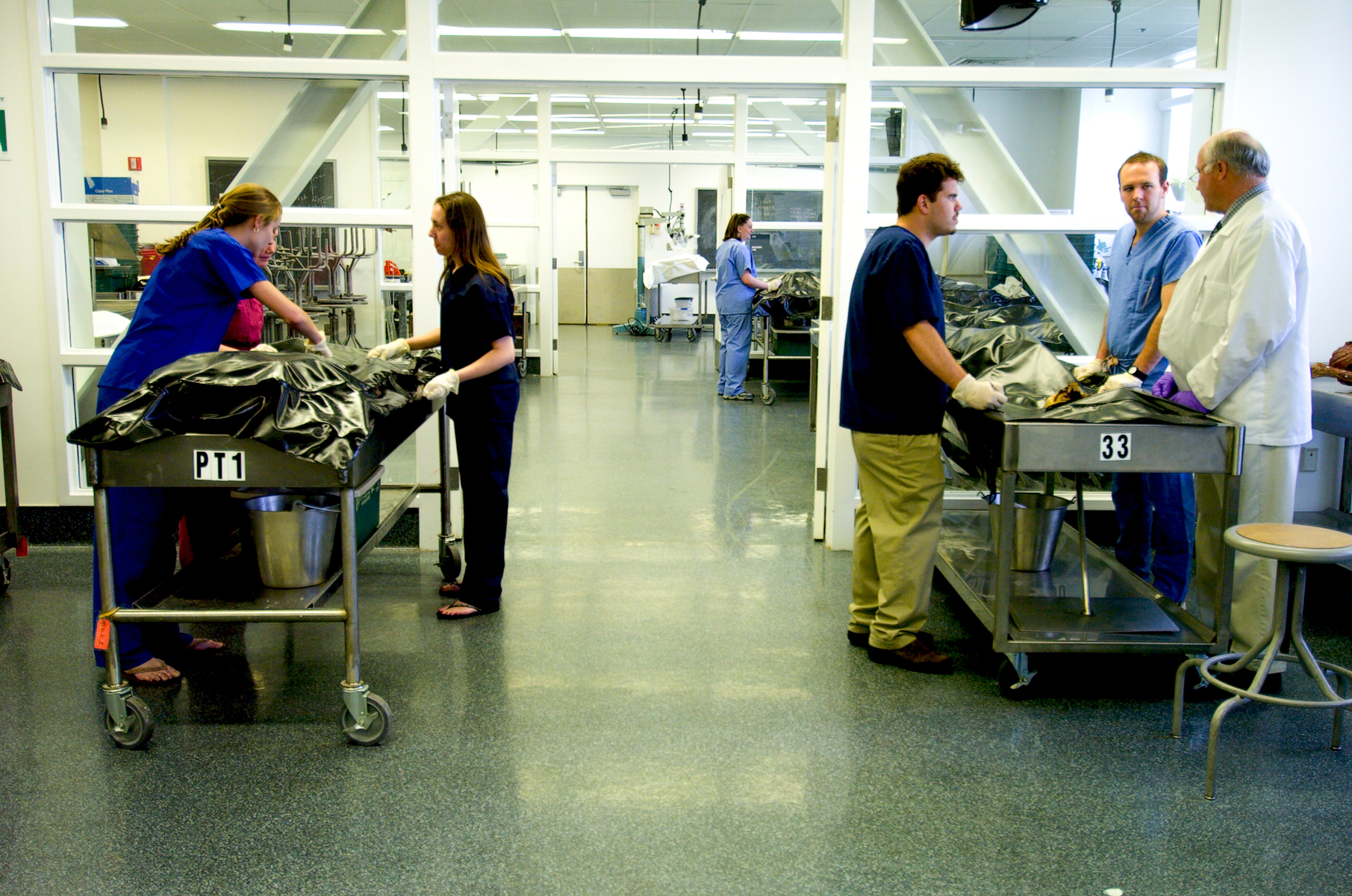 Programs and Centers | College of Osteopathic Medicine | University of ...