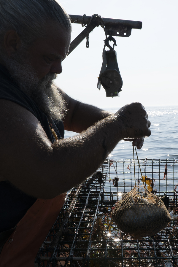 Reckoning with Climate Change and the Gulf of Maine | University of New ...