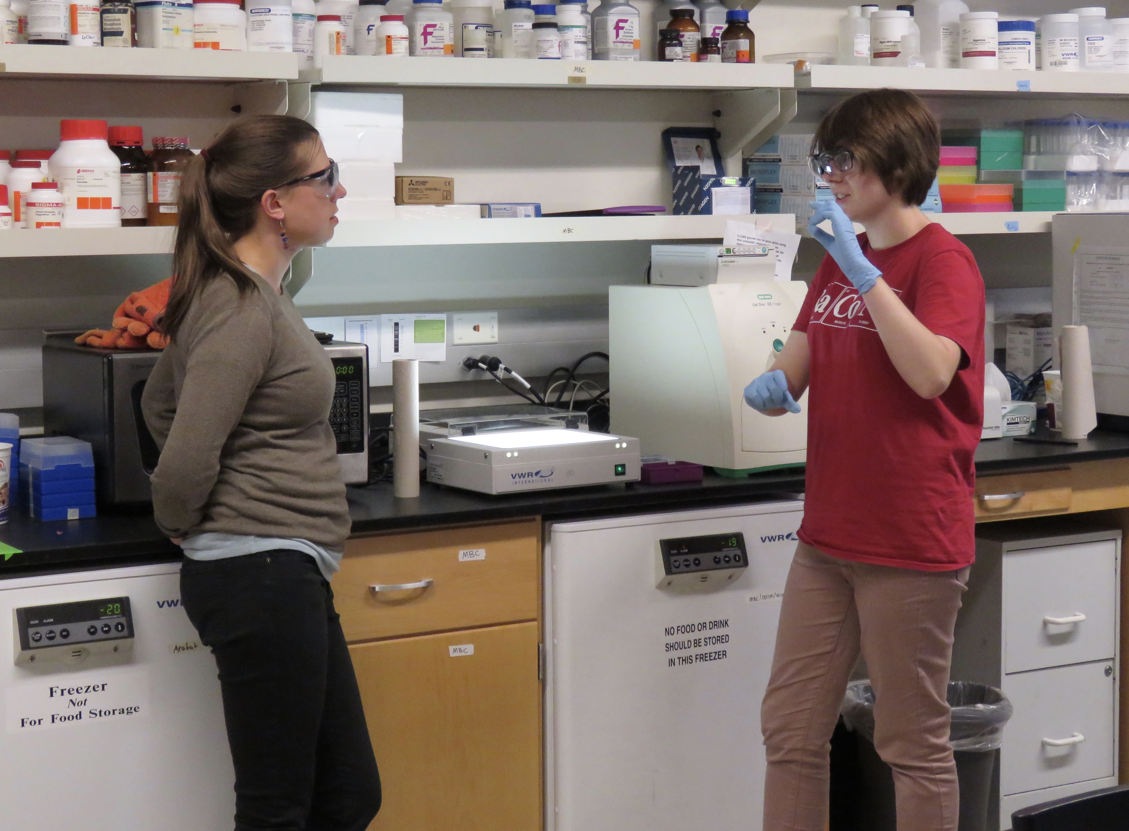 UNE among institutions receiving $6M to develop protein sensors for ...