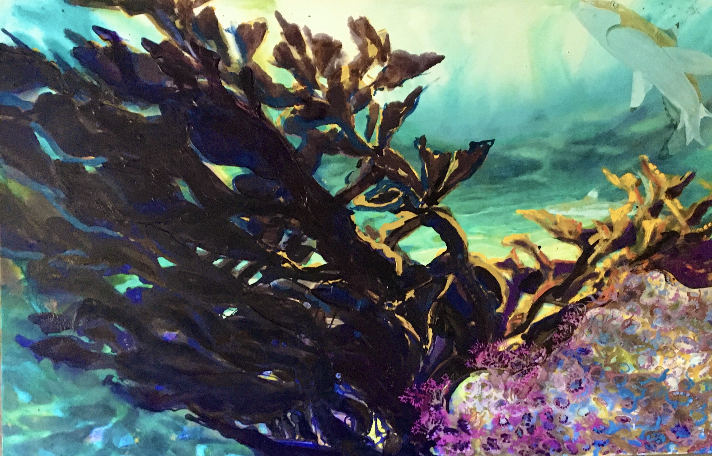 NPAF_DRTONPSEPAIR2022_Baker_Painting_Reef_Guardians_Blacktipped_Reef ...