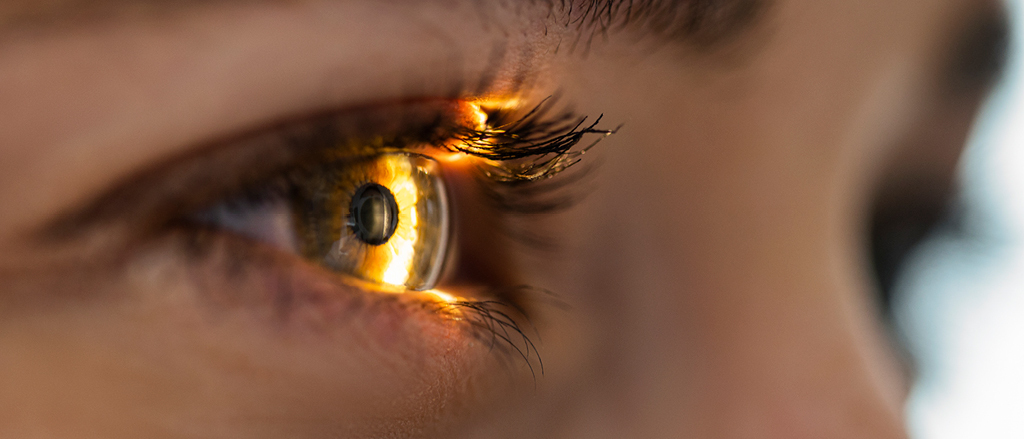 UNE receives $6.6 million to study ocular pain