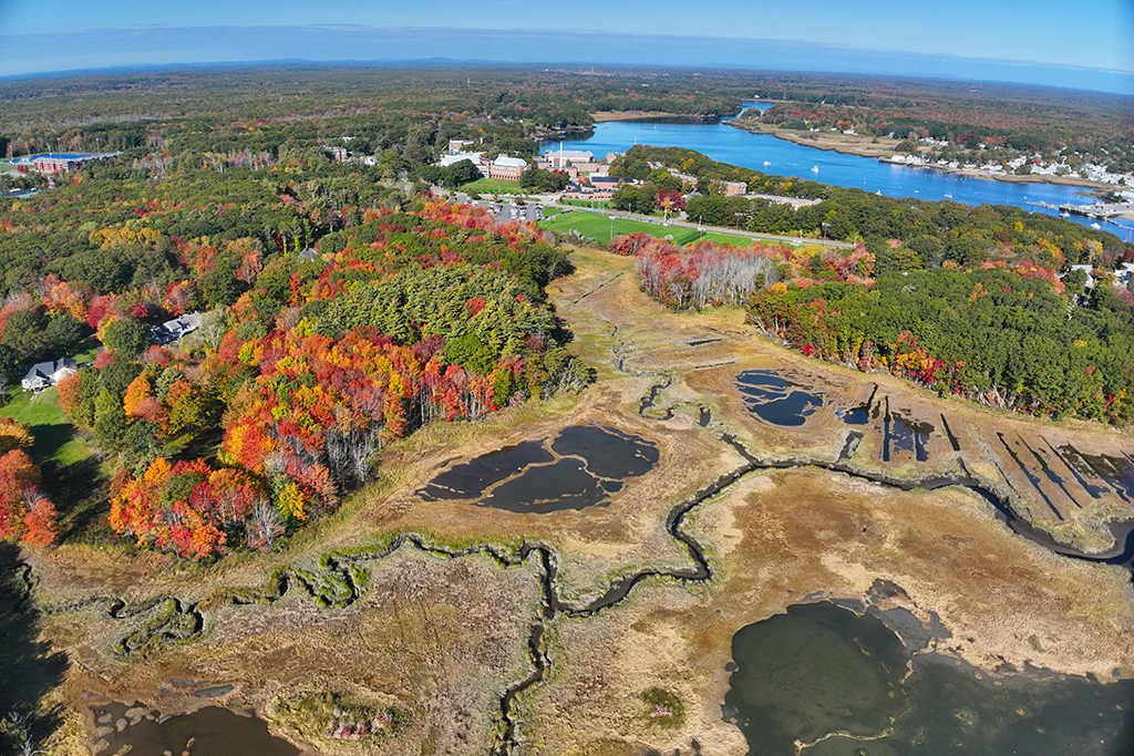 UNE researcher awarded $50,000 to monitor coastal landforms in southern ...