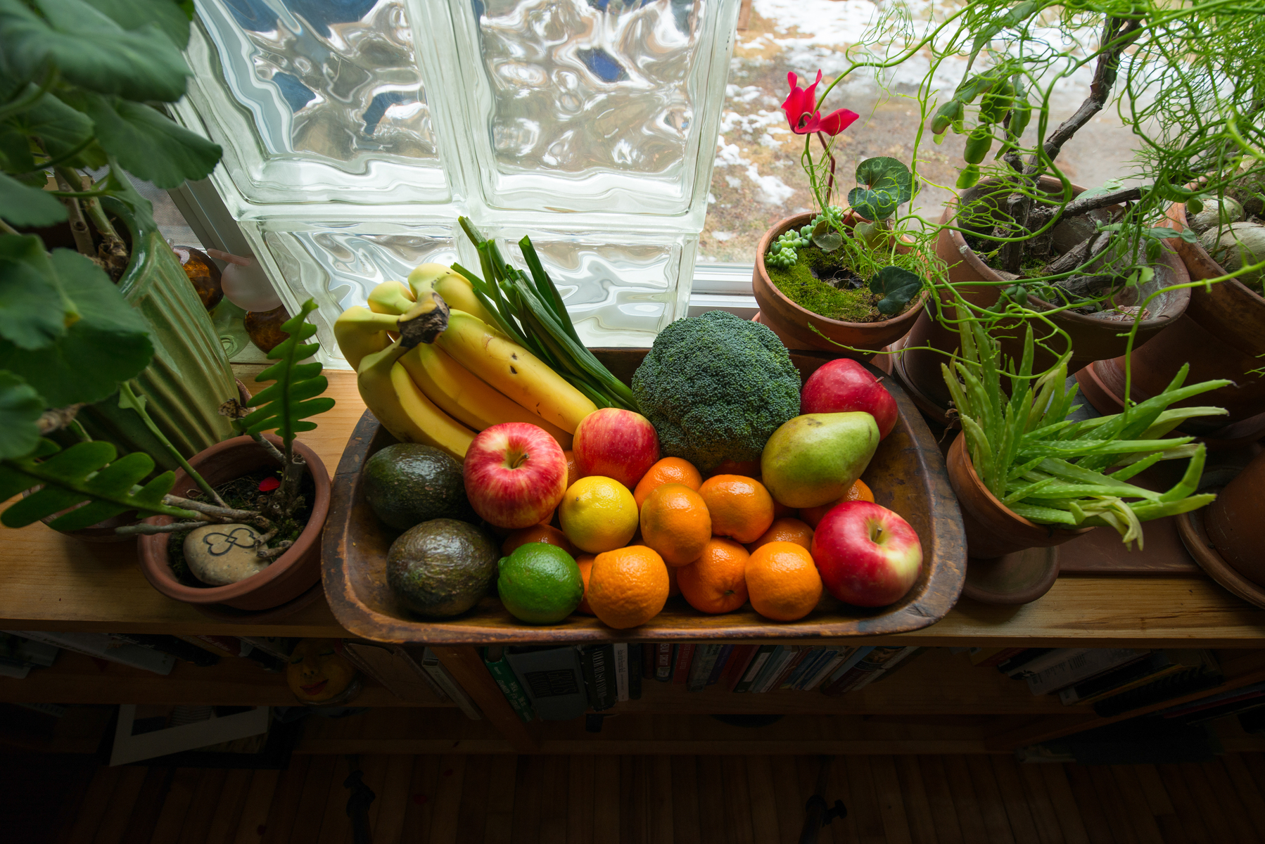 University of New England receives $1.1 million USDA grant to improve ...