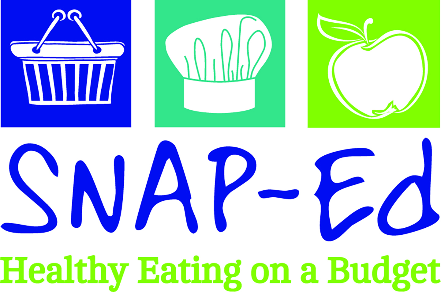 UNE SNAP-ed staff present data tracking tool in webinar