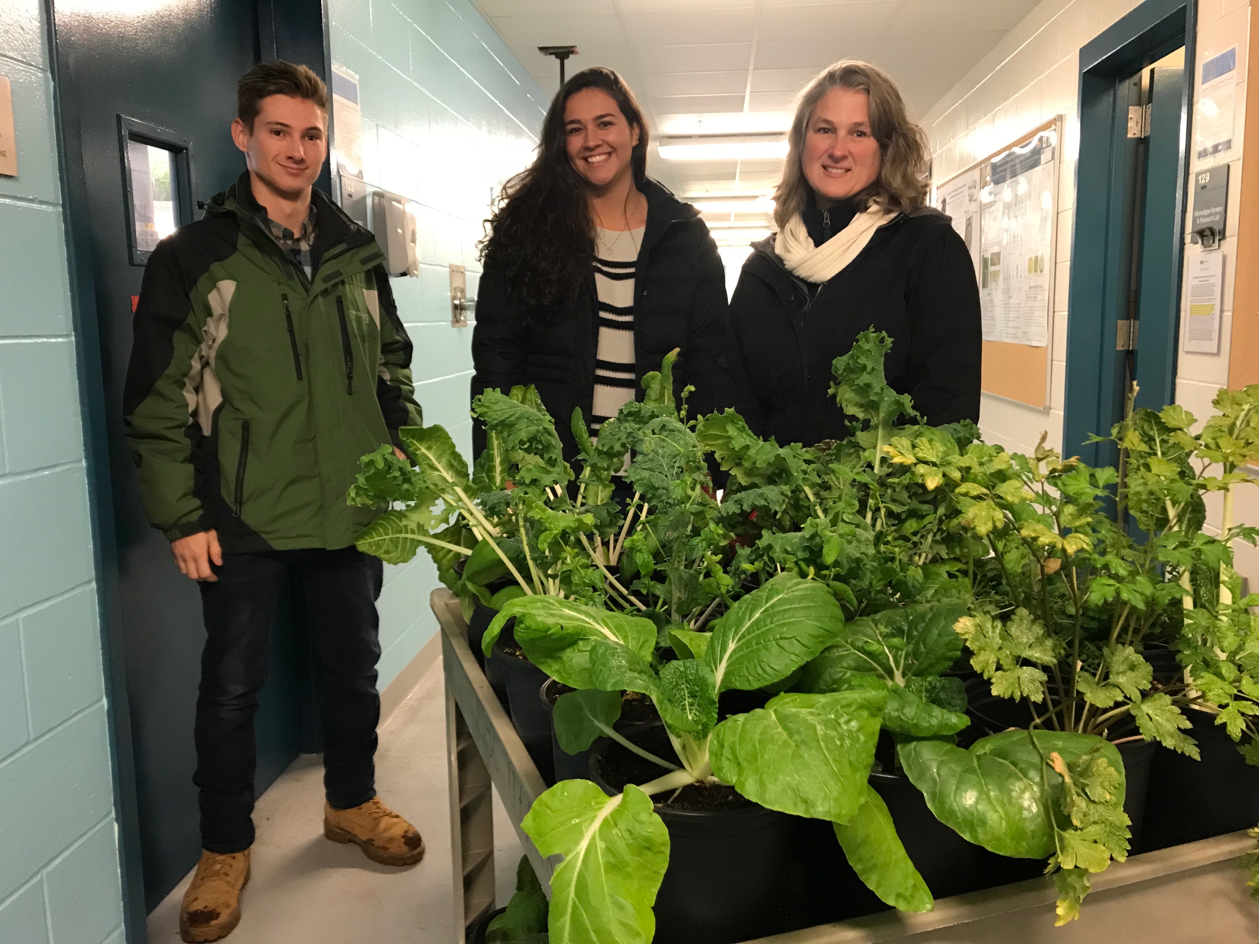 Living wall in Ripich Commons now includes edible plants