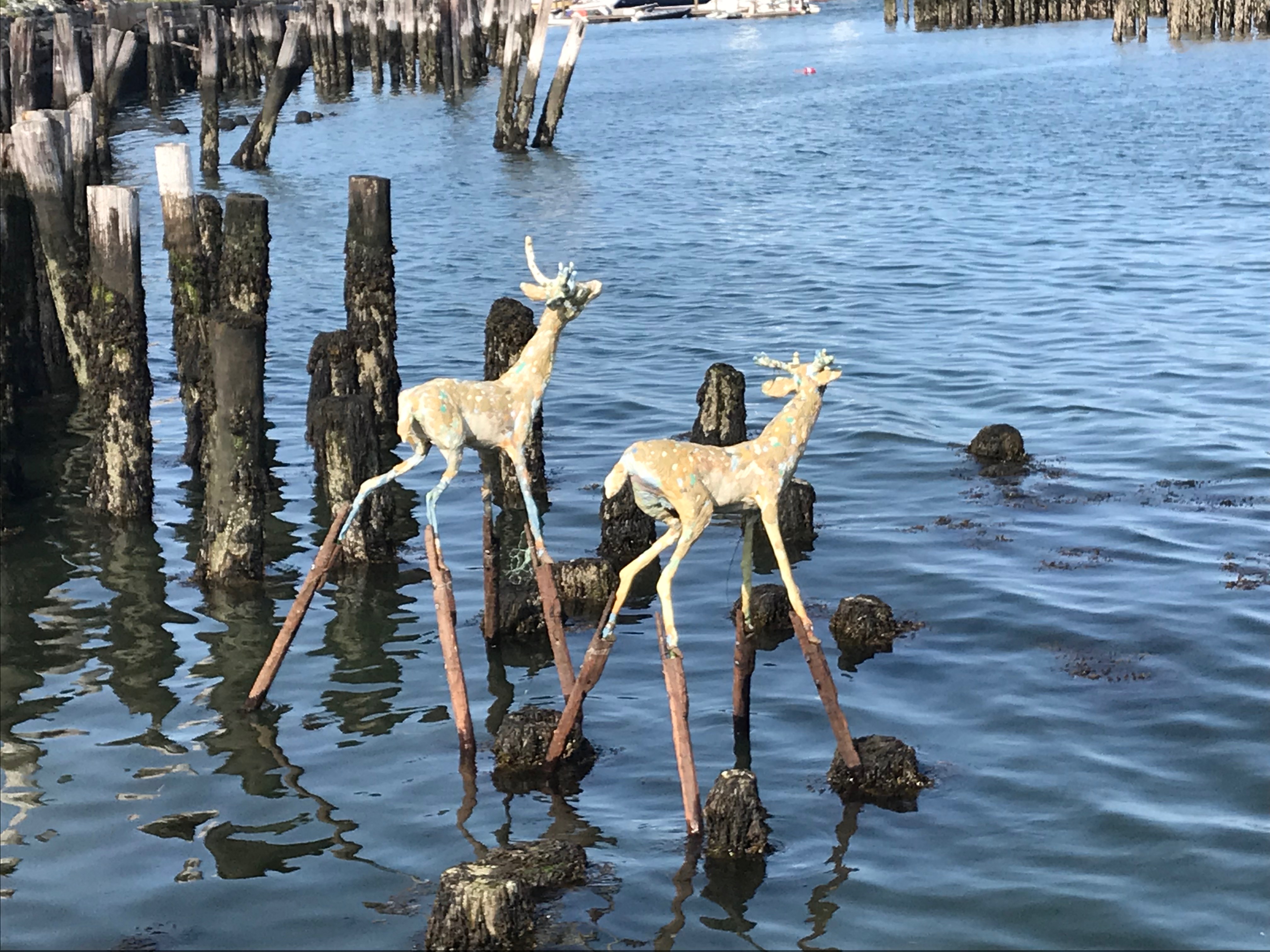 UNE’s Andy Rosen unveils public art display along the Portland waterfront