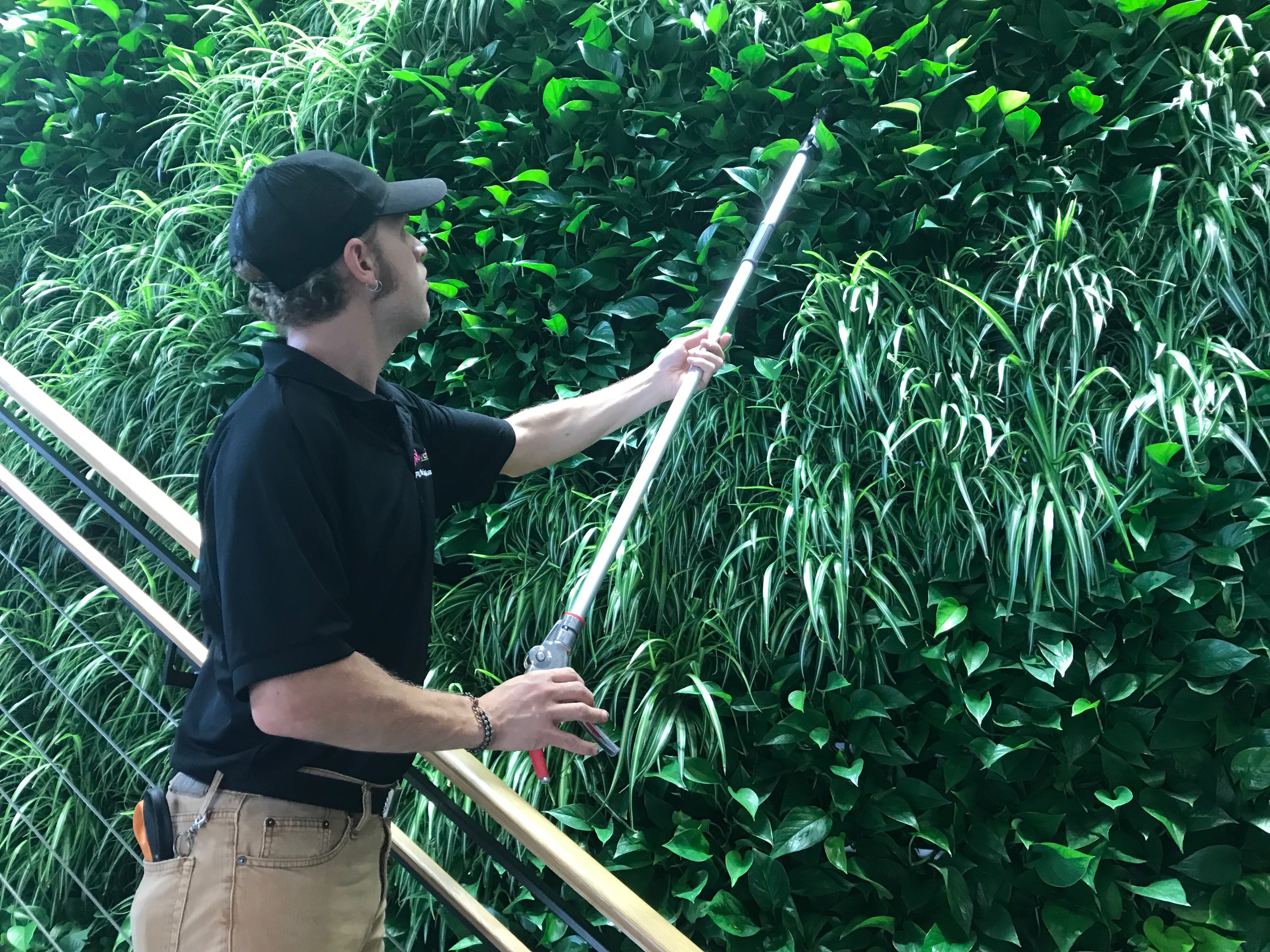 Living wall in Ripich Commons featured in ‘Maine Sunday Telegram’