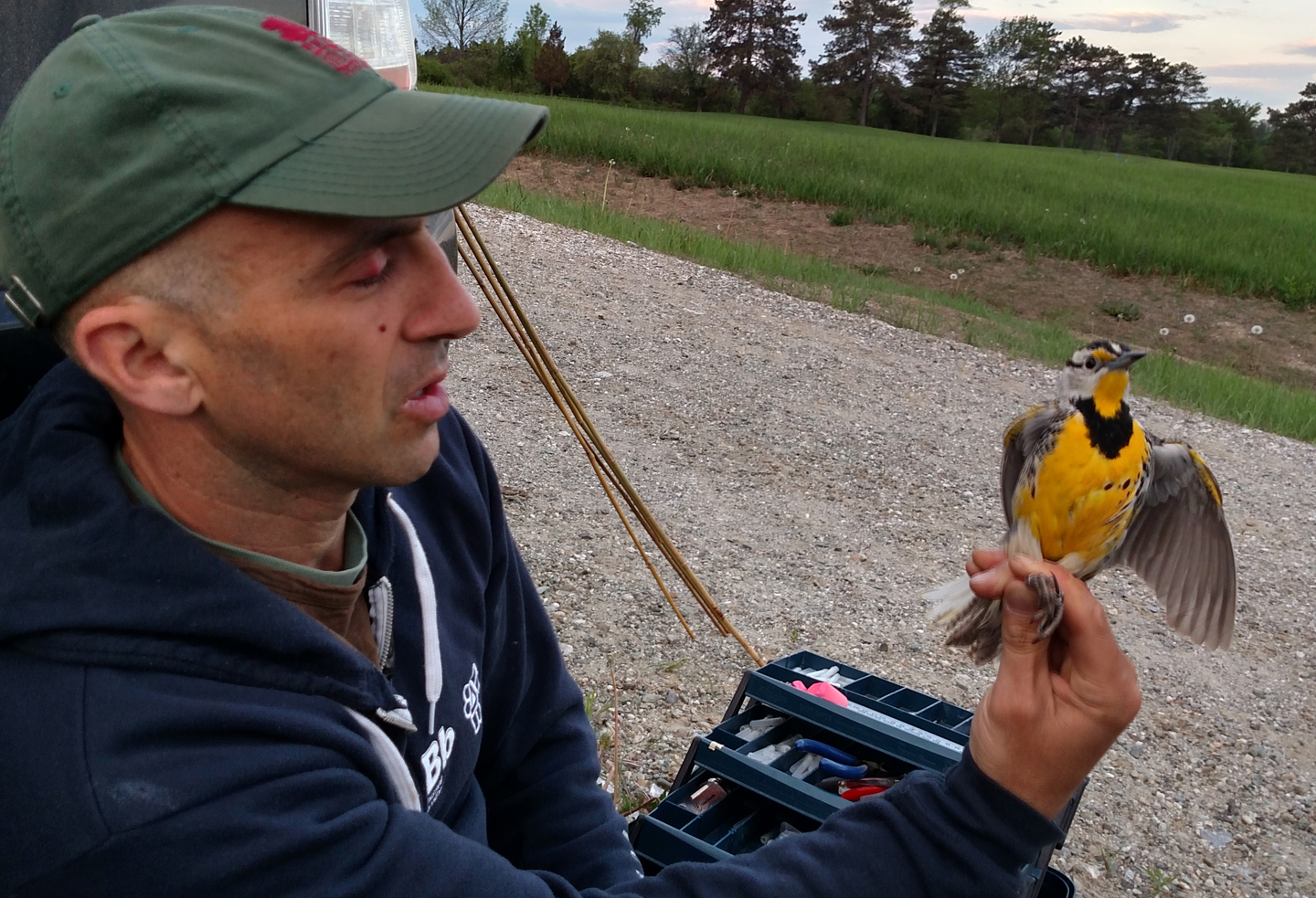 UNE ornithologist Noah Perlut writes guest blog for Natural Resources ...